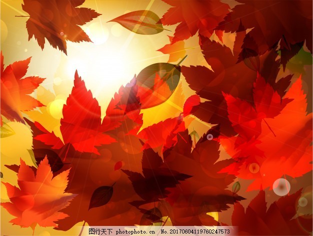 抽象环境橙枫叶图片_装饰图案_设计元素-图行天下素材网